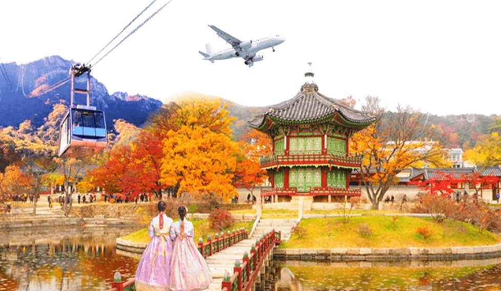 Paket Tour Korea Autumn 8 Hari 6 Malam - Agatha Tour