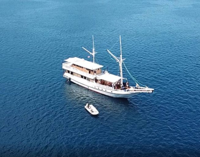 5 Fakta Menarik Tentang Komodo di Labuan Bajo - Agatha Tour